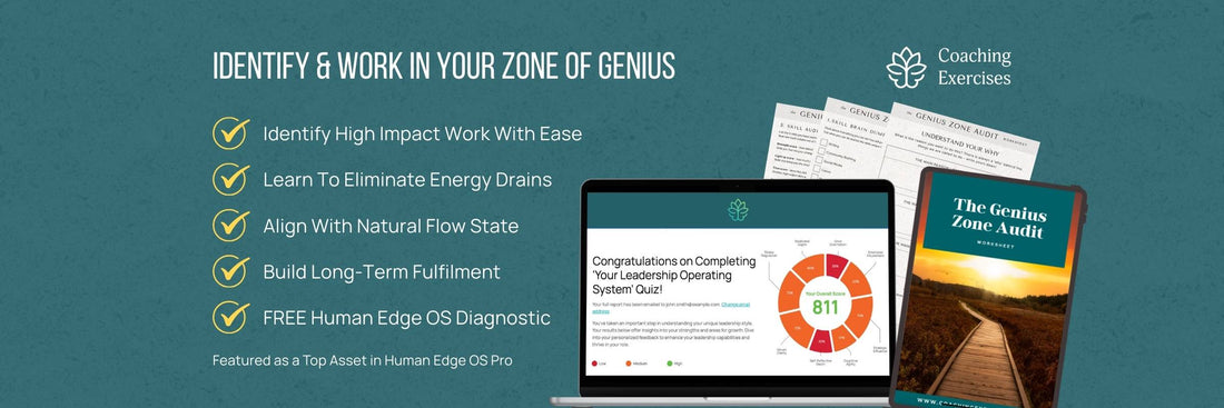 Genius Zone Audit Worksheet | Align Your Strengths, Time & Energy ...